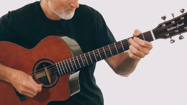 Willow Creek FX-PG73 - Terry Carter Music Store