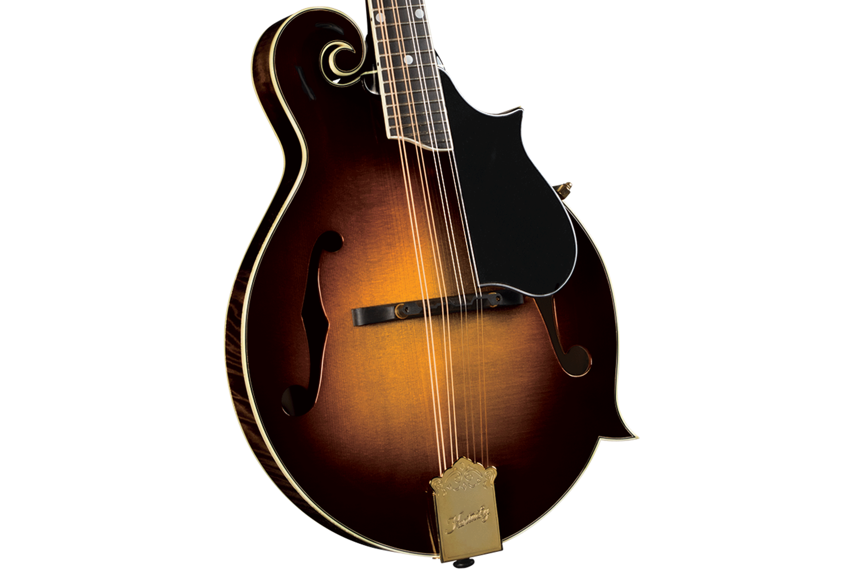 Kentucky KM-850 Mandolin - Terry Carter Music Store
