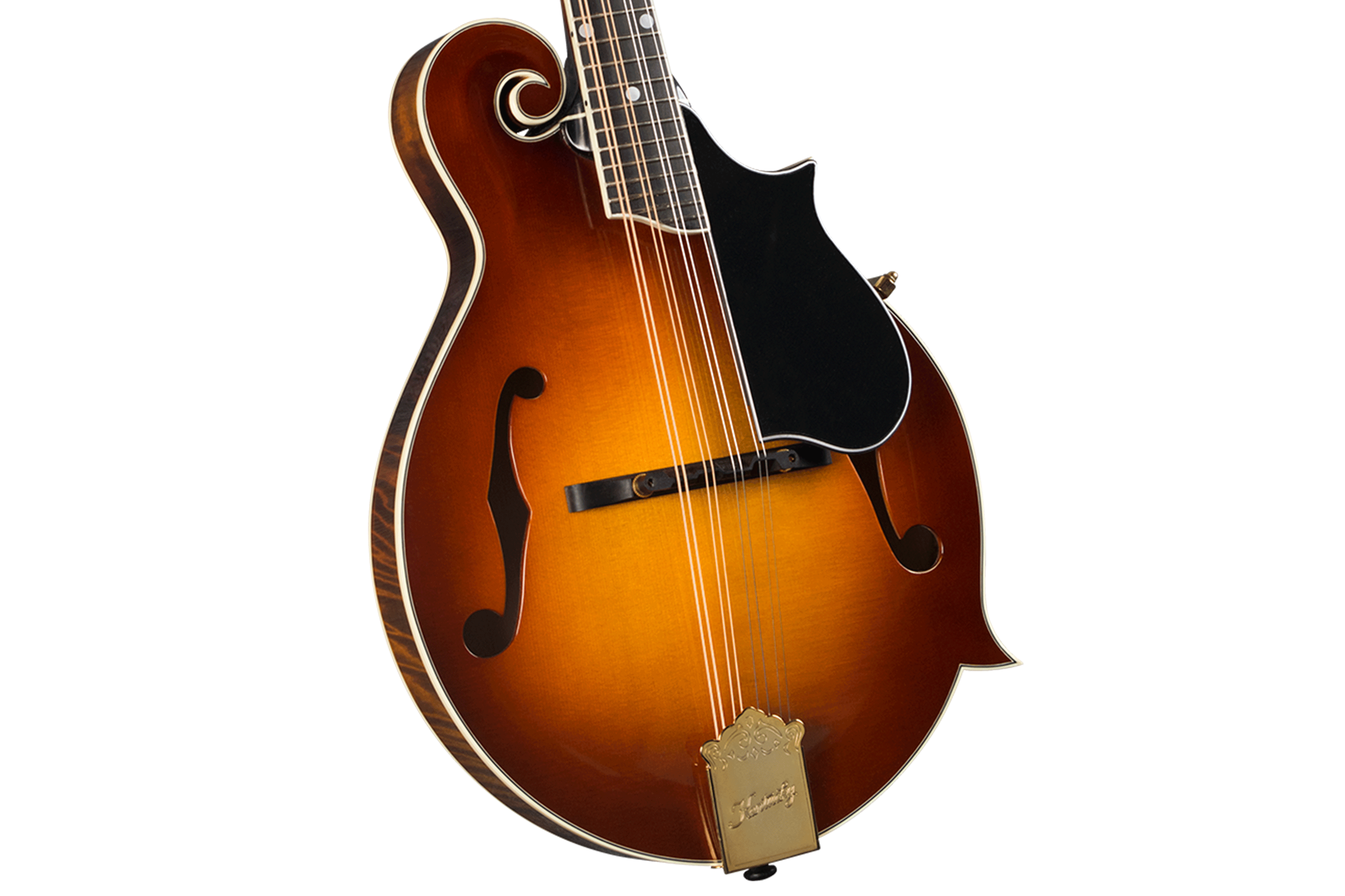 Kentucky KM-855 Mandolin - Terry Carter Music Store
