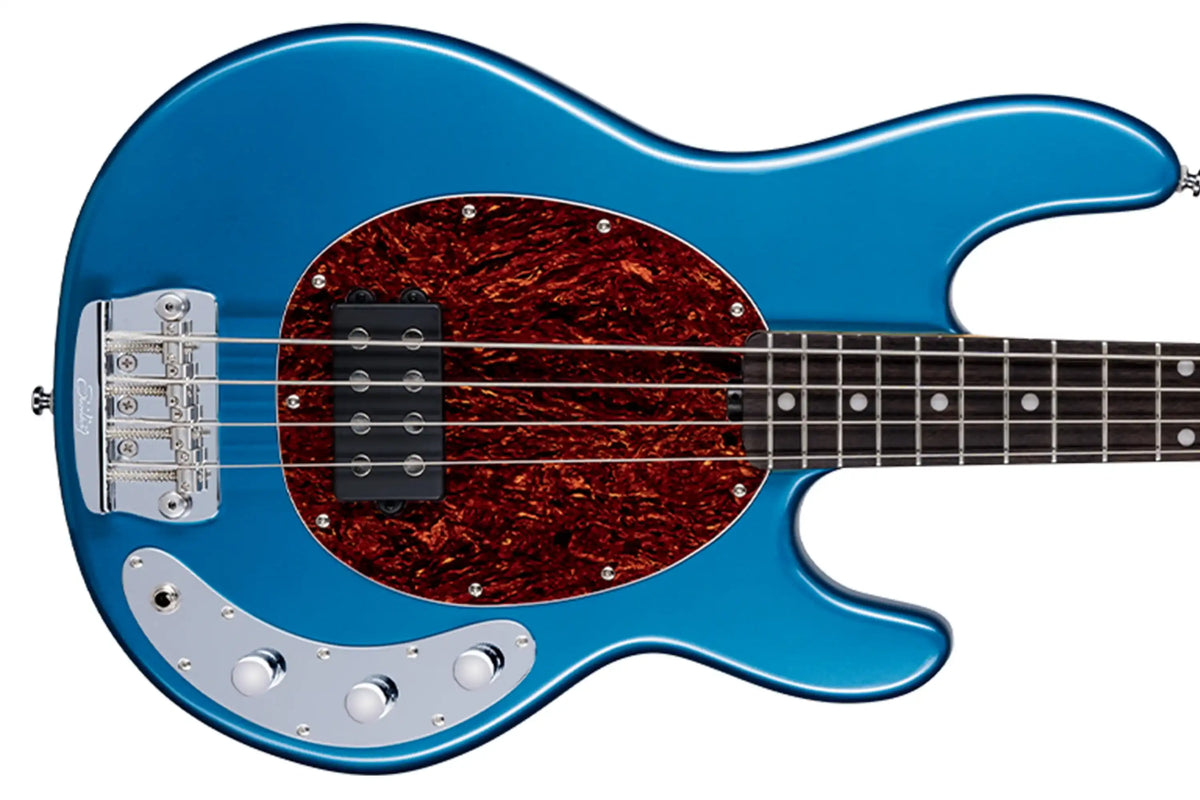 Basses - Terry Carter Music Store